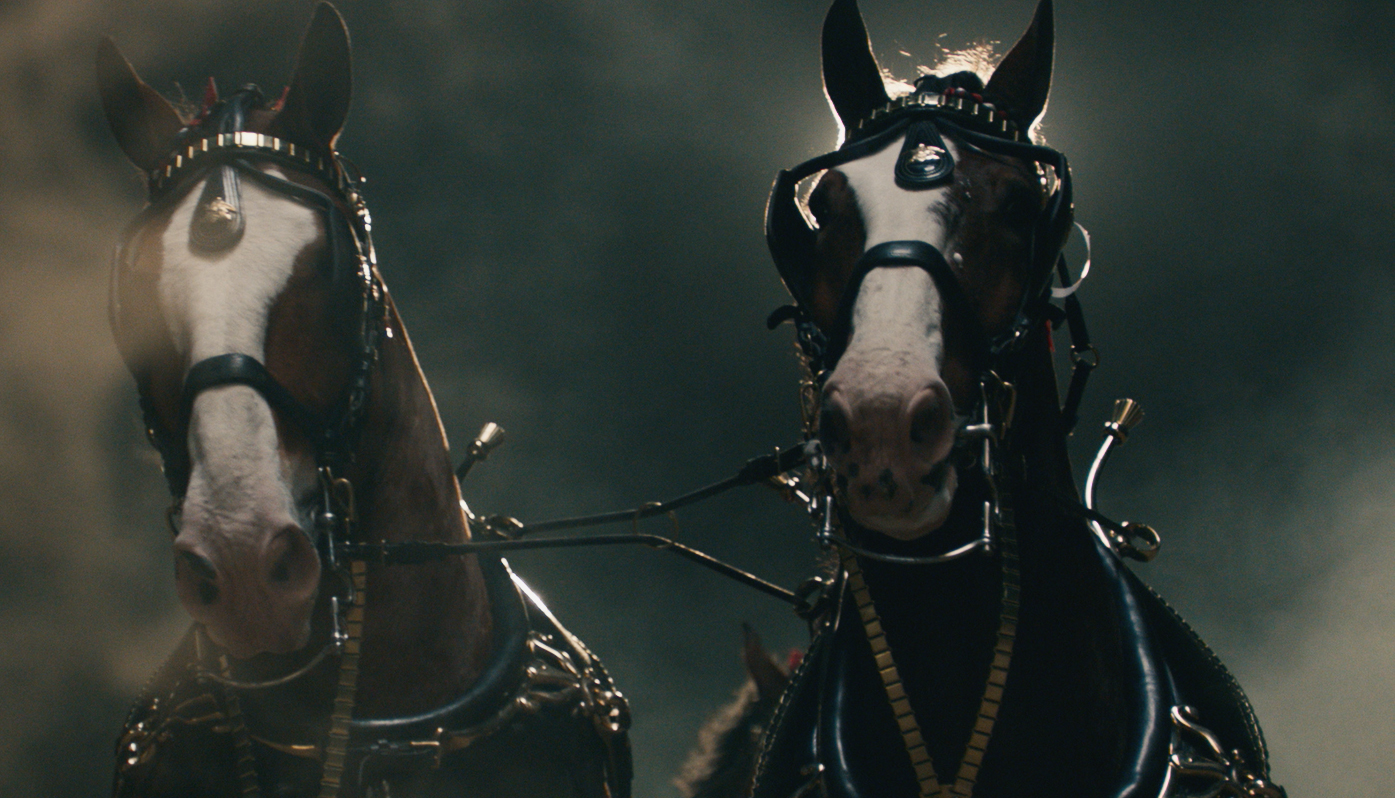 Anonymous Content » Budweiser “Not Backing Down”